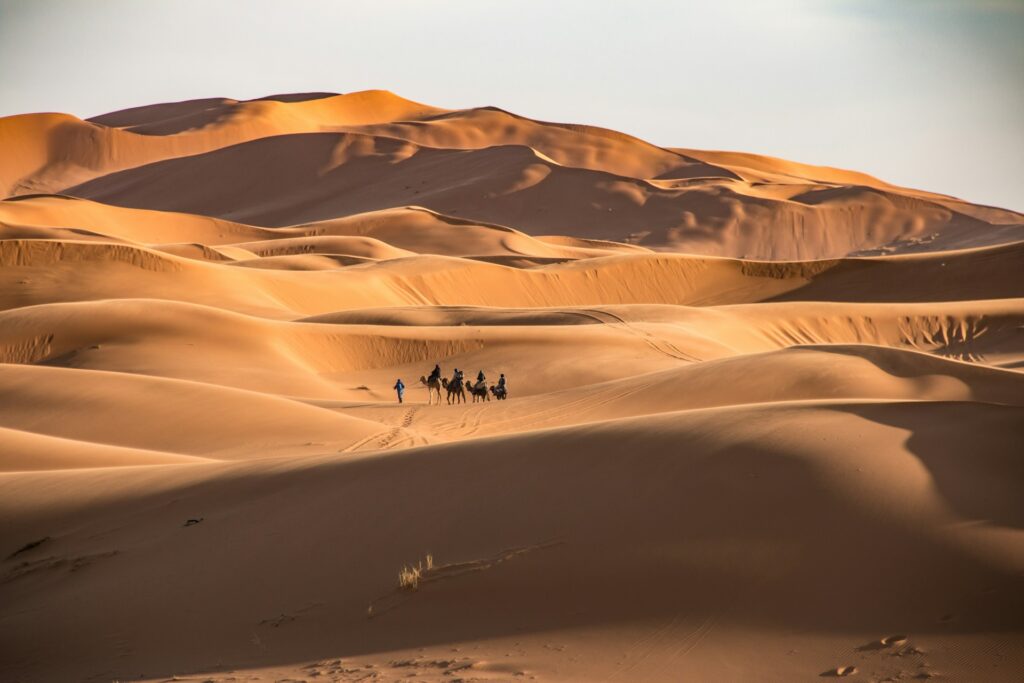 The World's Deserts | Types, How Many, Largest & Hottest