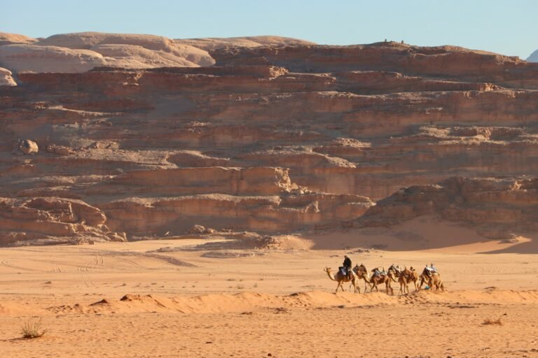 Arabian Desert: Facts, Geography and Climate | See Wadi Rum