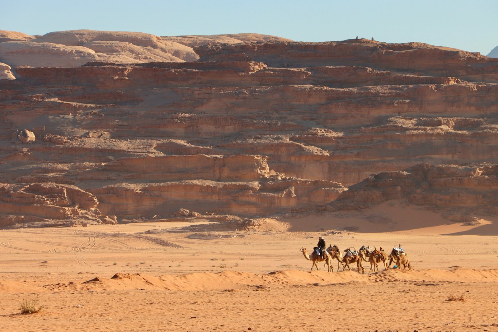 Arabian Desert: Facts, Geography and Climate | See Wadi Rum